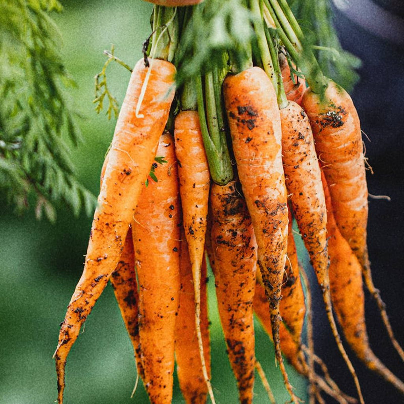 Organic Produce | Certified Organic Fruits & Vegetables | Farmers Box