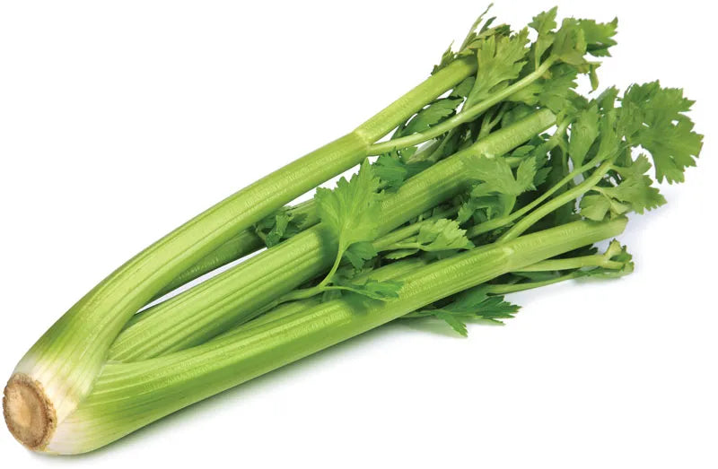 Whole Celery - Fresh & Crunchy - Farmers Box
